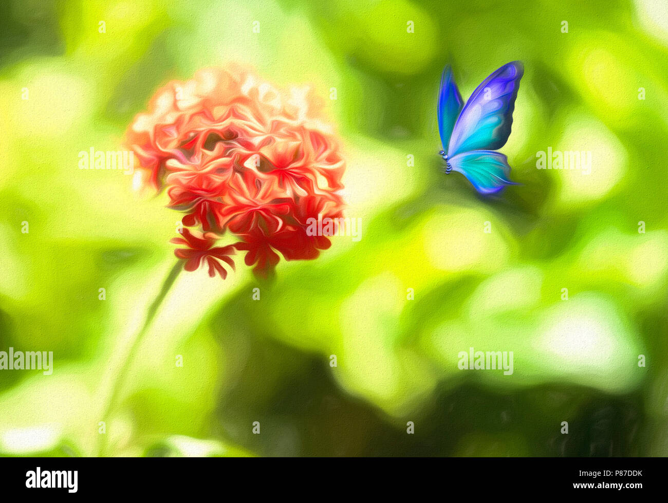 Beautiful butterfiles hi-res stock photography and images - Alamy
