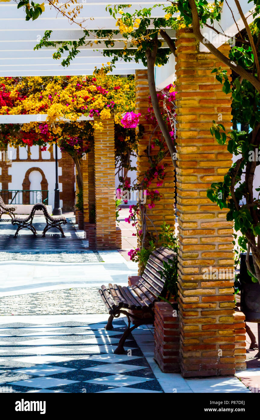 closeup on a beautiful arbor covered with climbing plants with colorful ...
