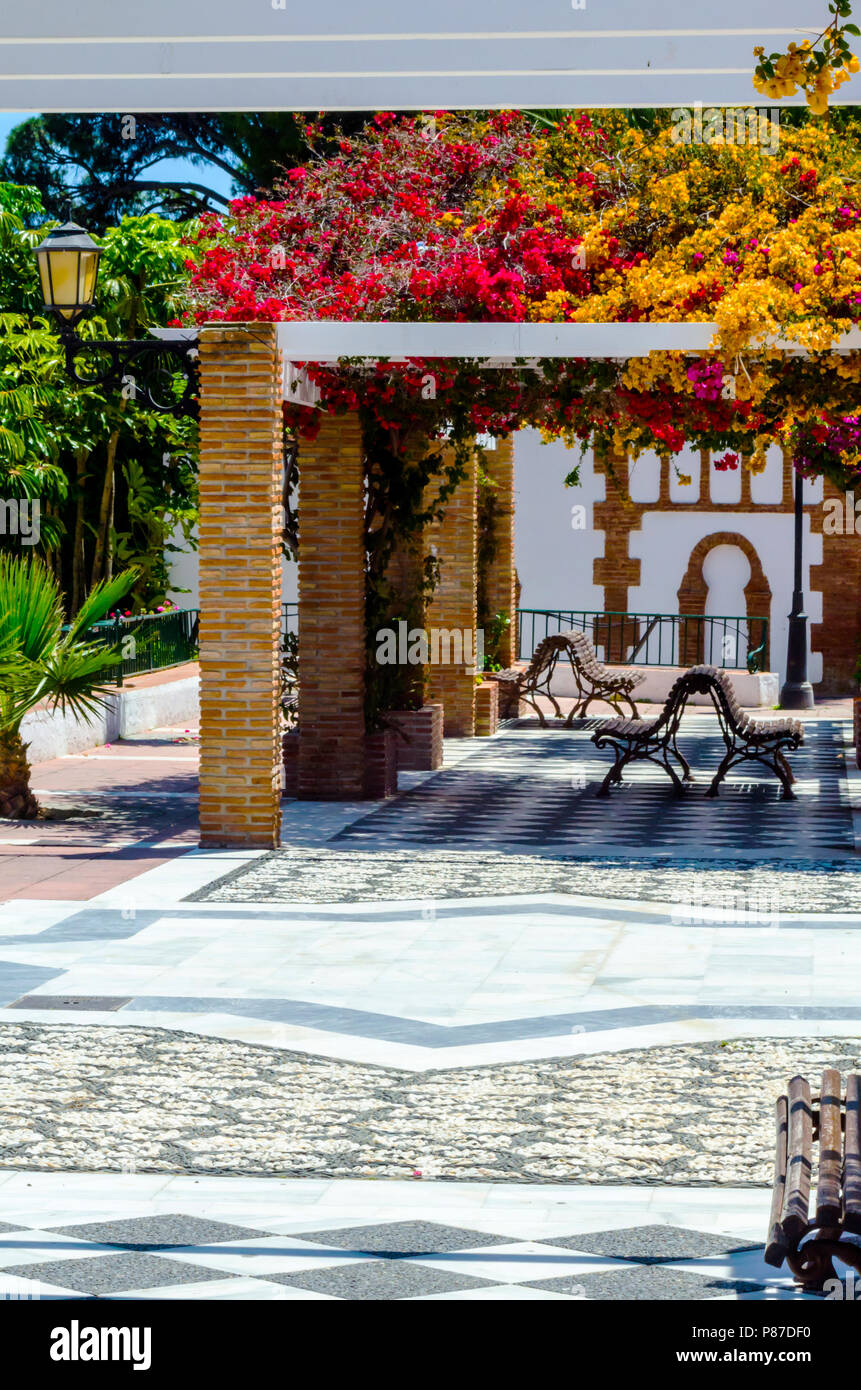 closeup on a beautiful arbor covered with climbing plants with colorful ...