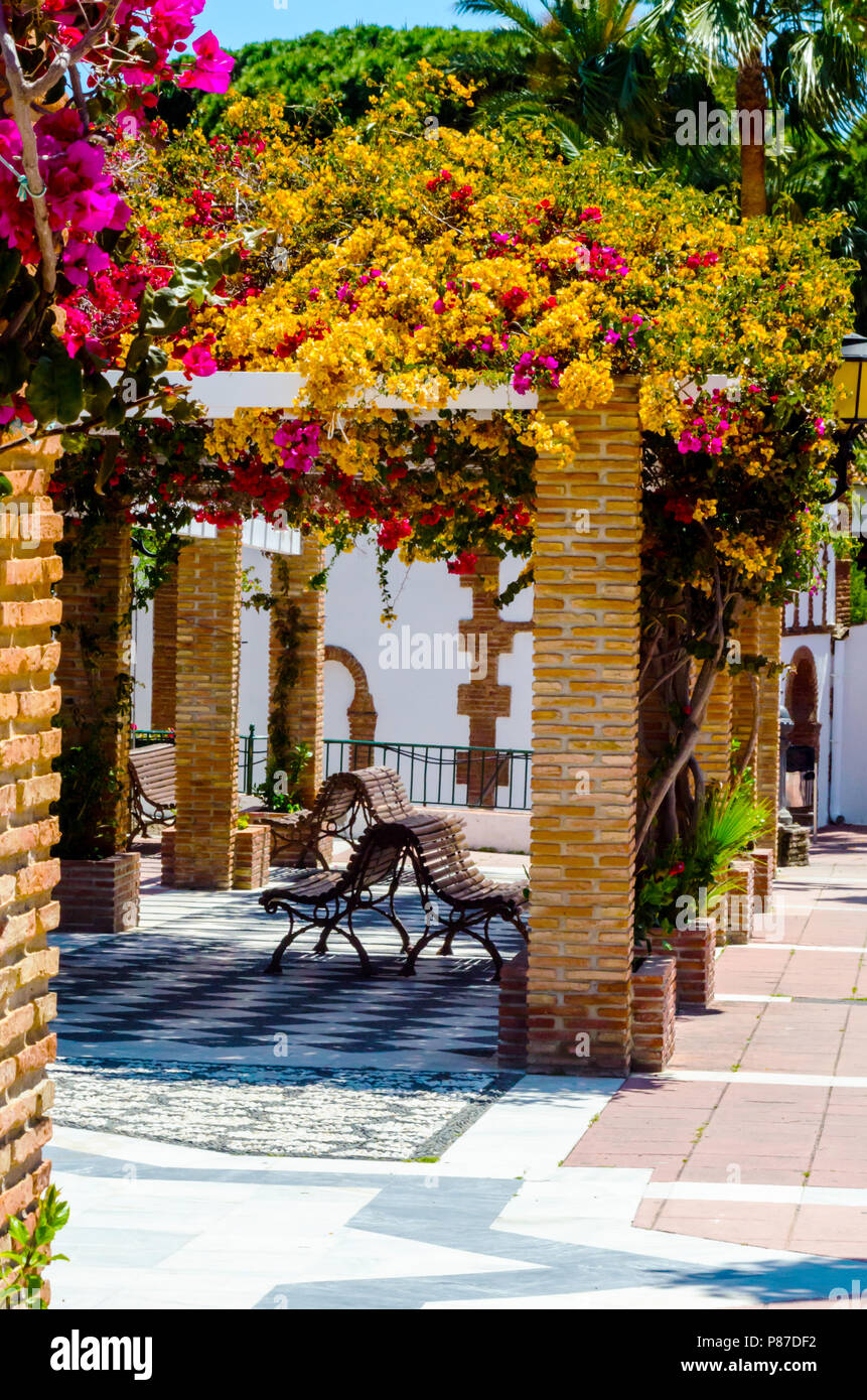 closeup on a beautiful arbor covered with climbing plants with colorful ...