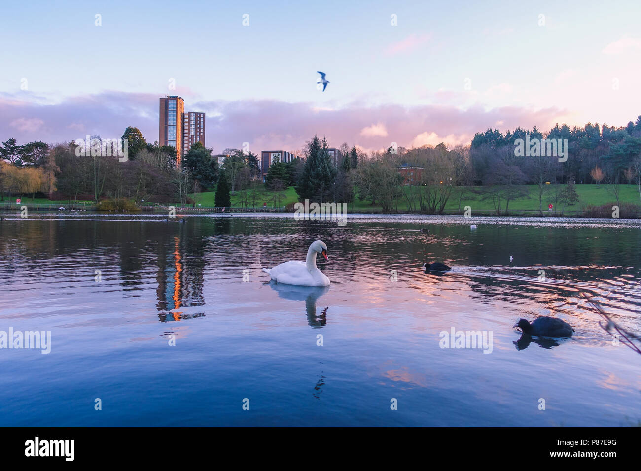 The Vale - University of Birmingham Stock Photo - Alamy