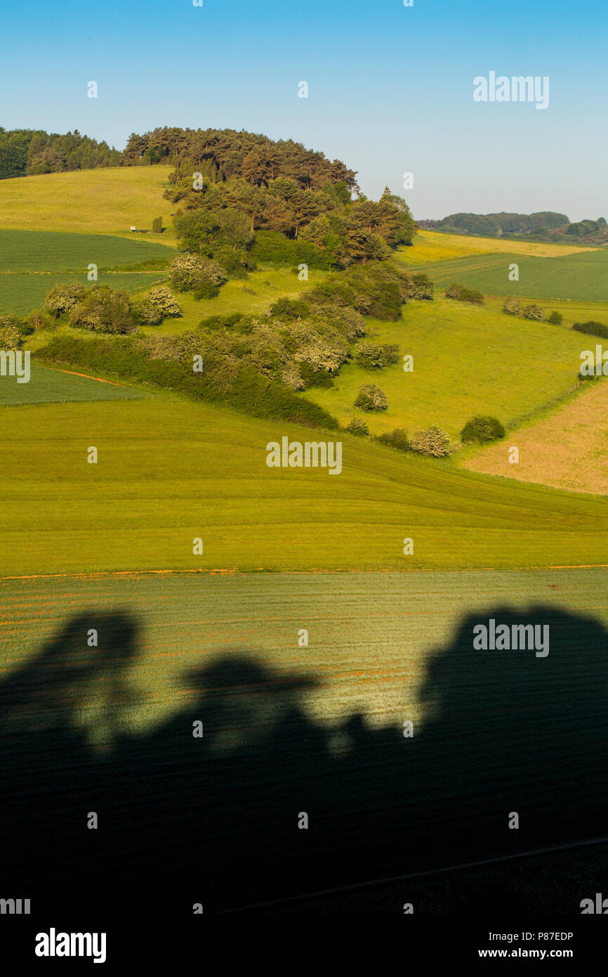 Graanakker in Duitsland, Corn field in Germany Stock Photo - Alamy