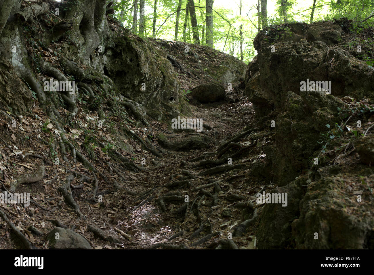 Scenic outdoor trail hi-res stock photography and images - Alamy