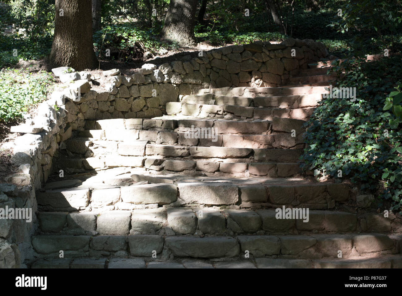 Stone pathway forest hi-res stock photography and images - Alamy