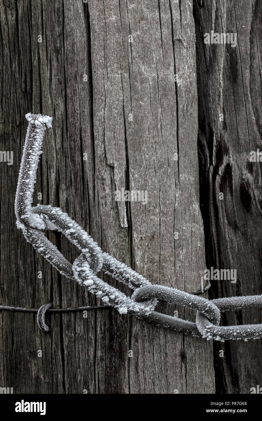 Bevroren schalmen, frozen Chain links Stock Photo - Alamy