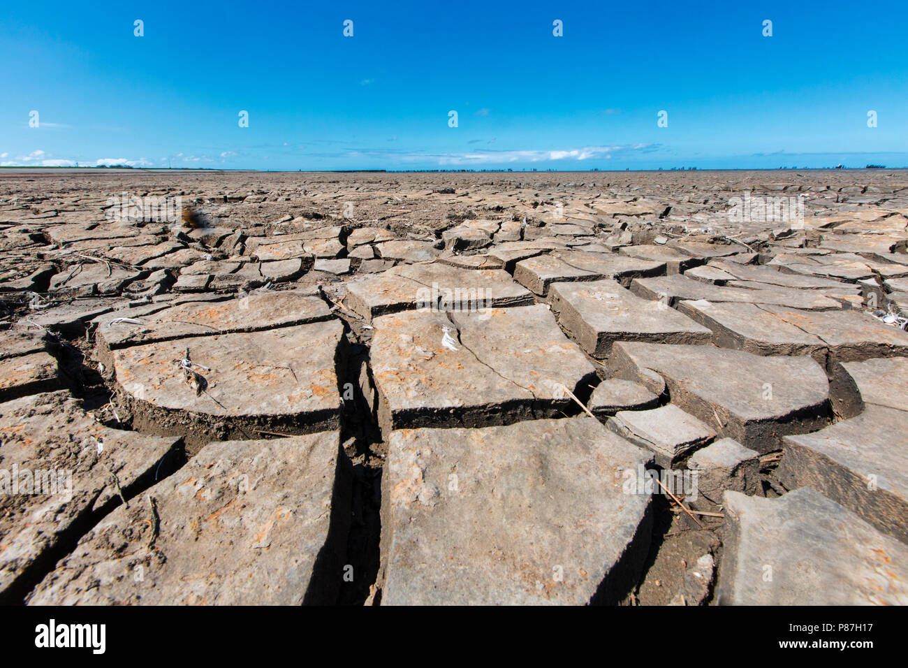 Waddengebied hi-res stock photography and images - Alamy