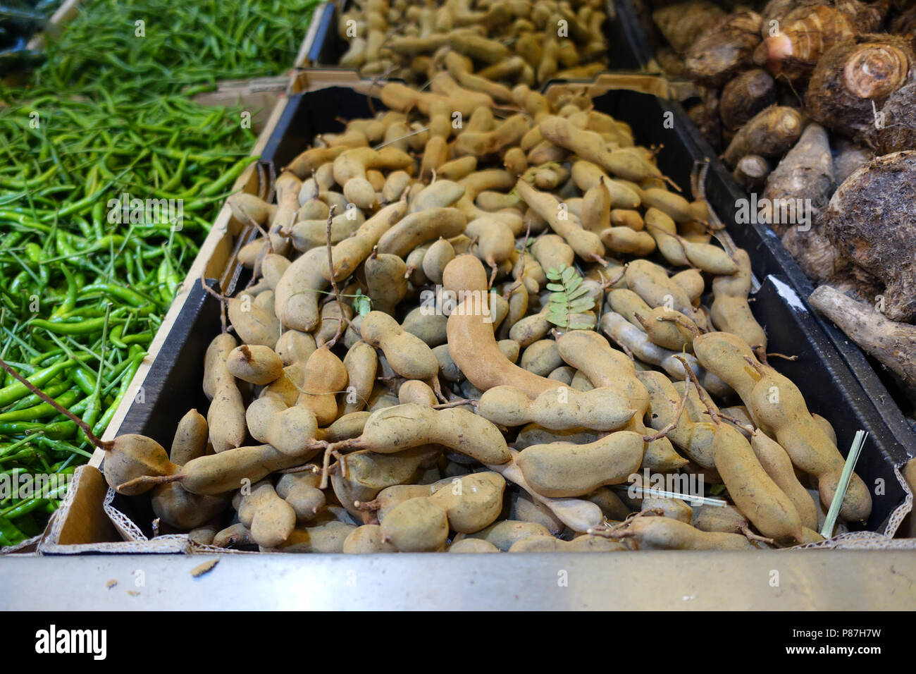Fresh tamarindus indica fruits or well known as tamarind Stock Photo ...
