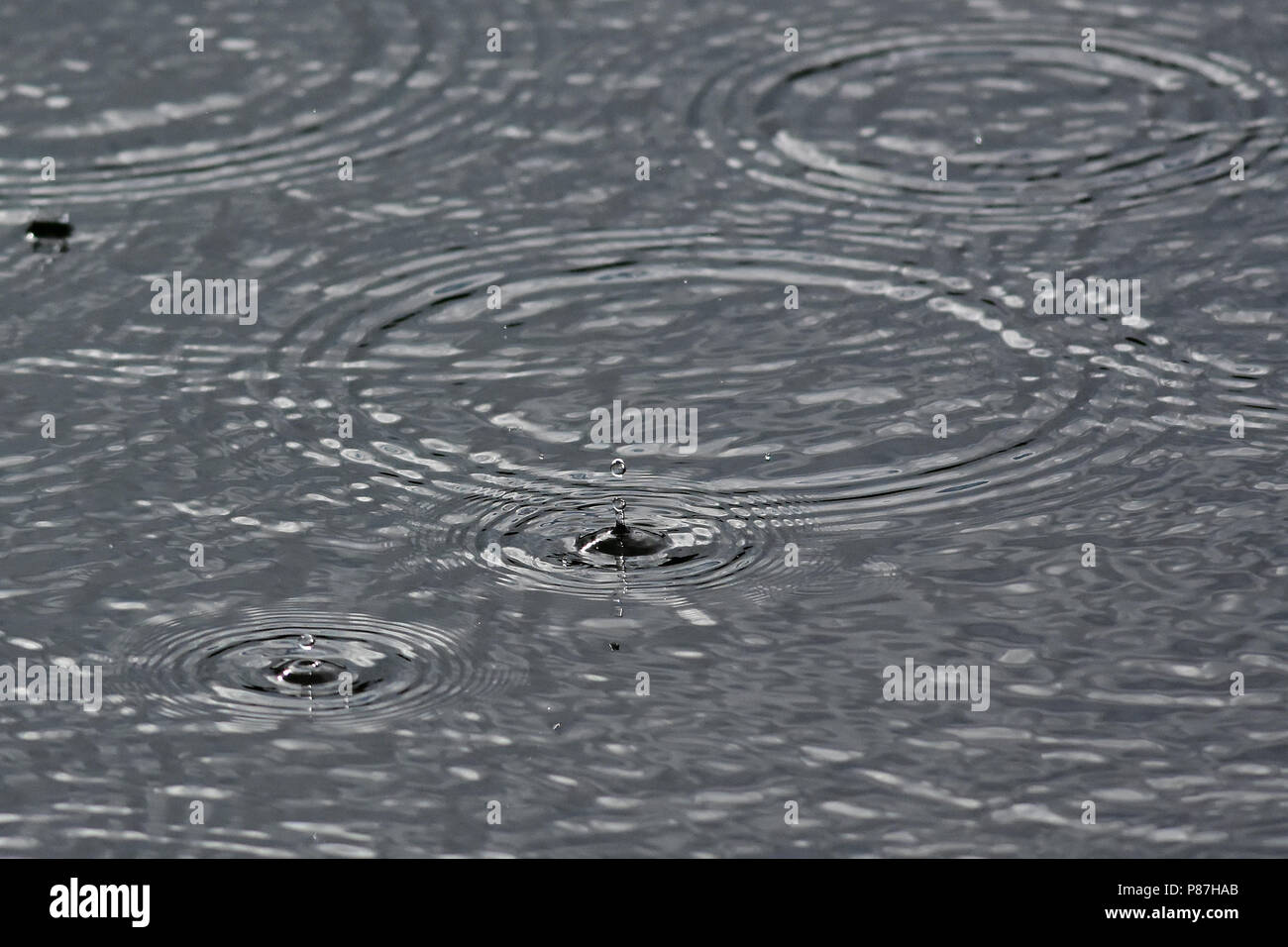 "Into each life, a little rain must fall" Henry Wadsworth Longfellow ...