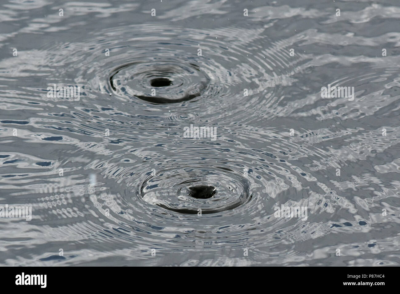 "Into each life, a little rain must fall" Henry Wadsworth Longfellow ...