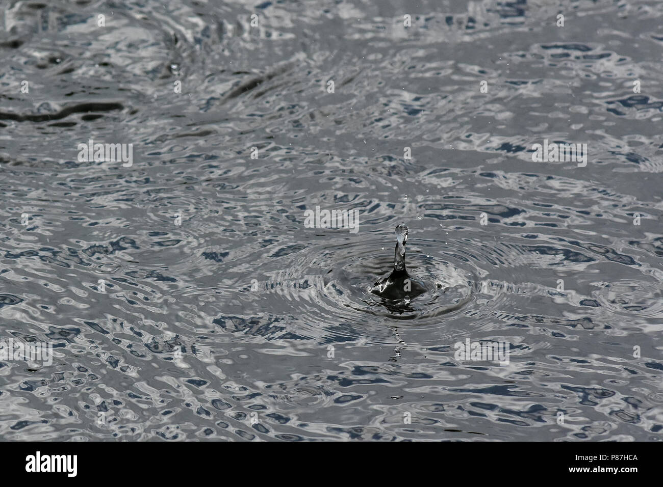 Little wadsworth lake hi-res stock photography and images - Alamy