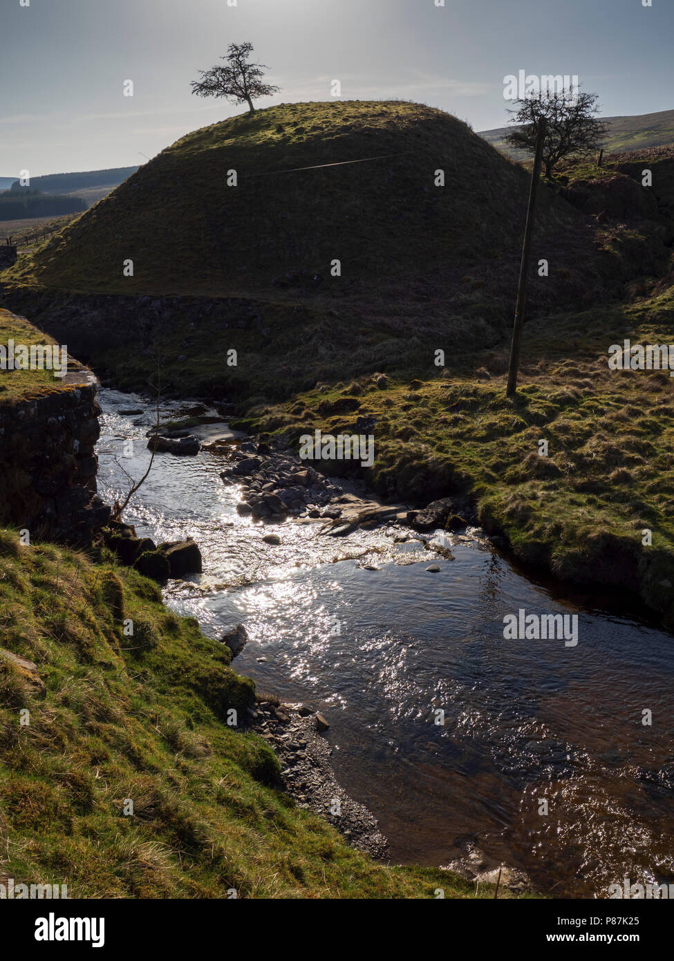 Saughtree, two miles from the Scottish border with England, in ...