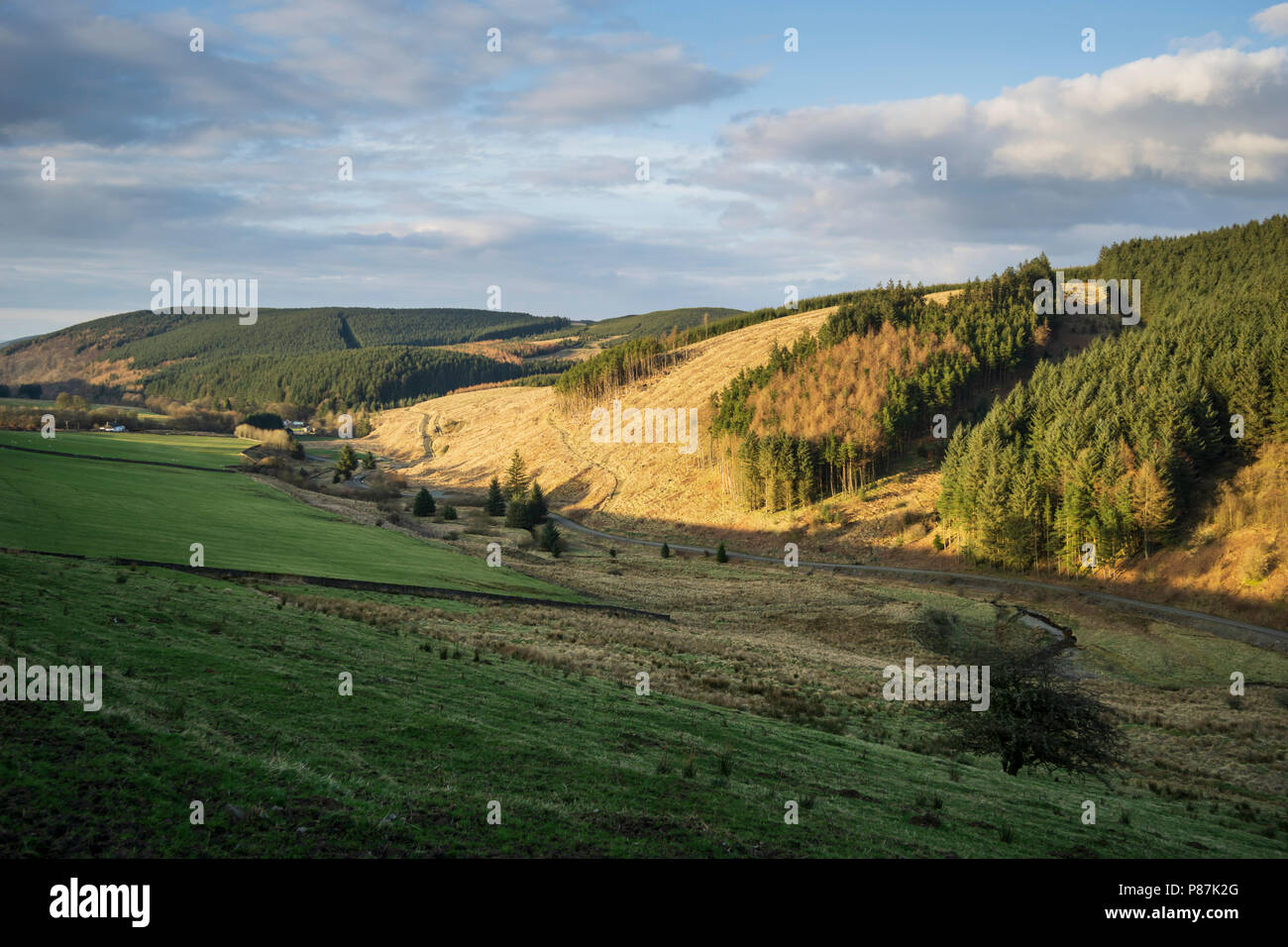 Liddel water scotland hi-res stock photography and images - Alamy