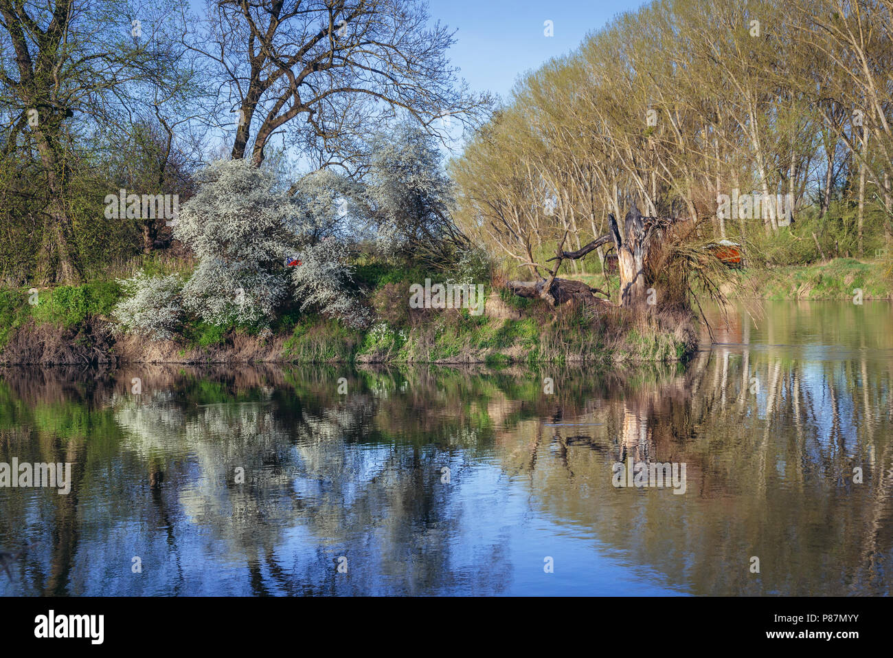 Tripoint of Austria, Czech Republic and Slovakia on the Thaya and ...