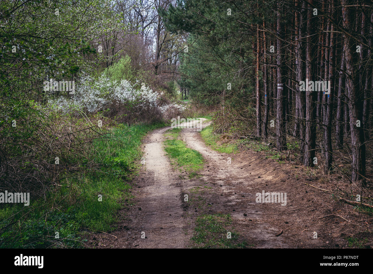 South moravian region hi-res stock photography and images - Alamy