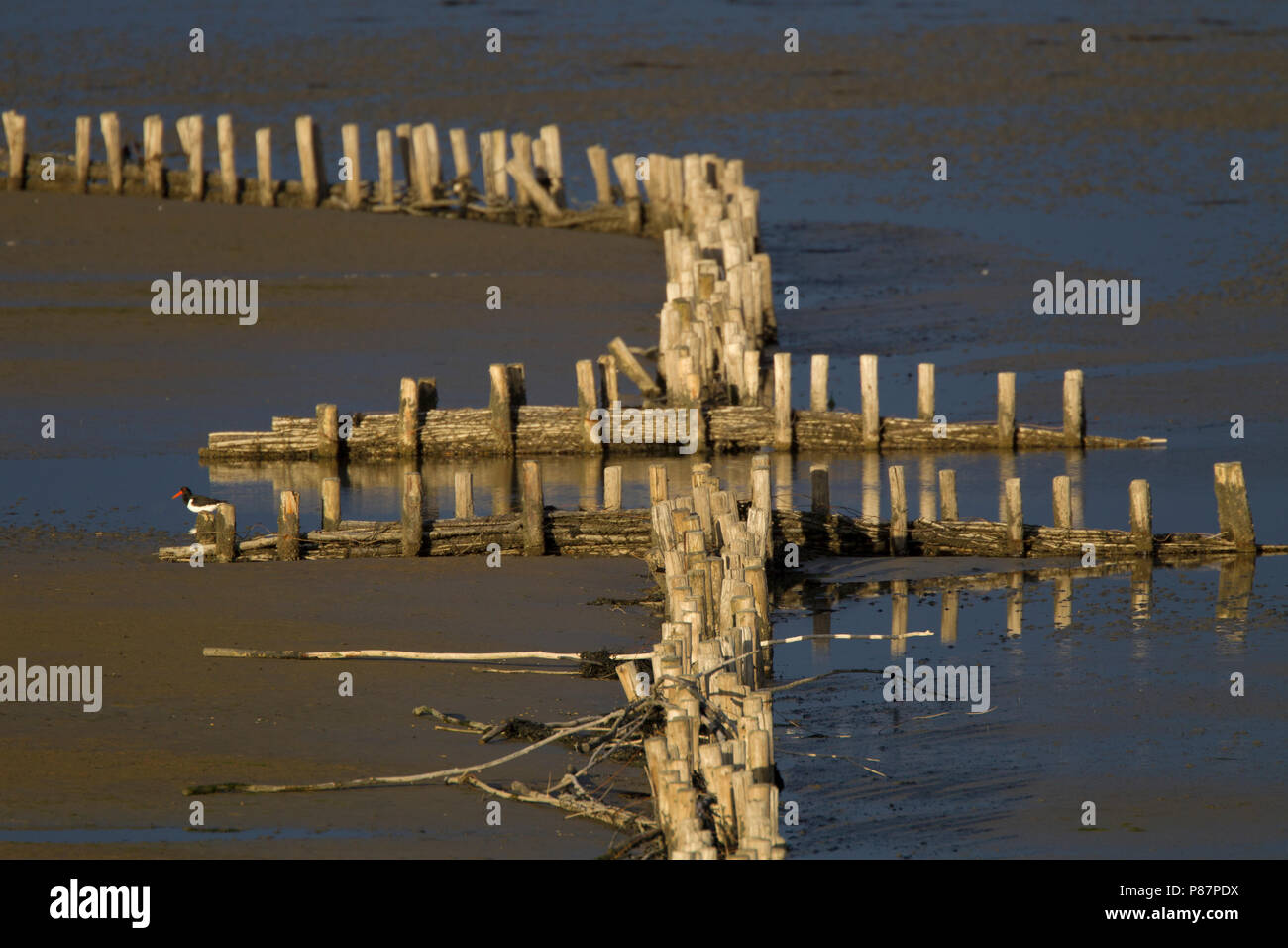 Laagwater High Resolution Stock Photography and Images - Alamy