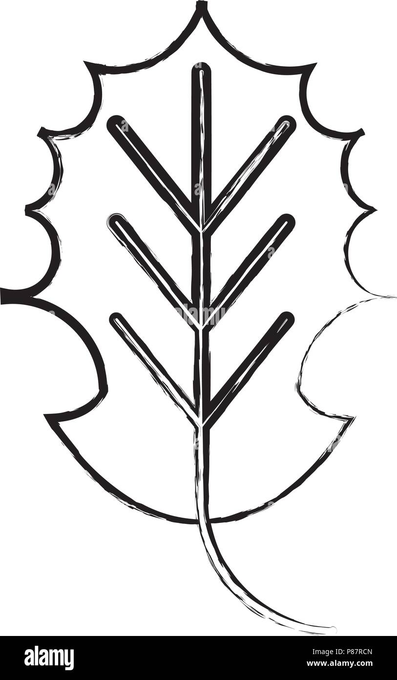 dry leaf icon over white background, vector illustration Stock Vector ...