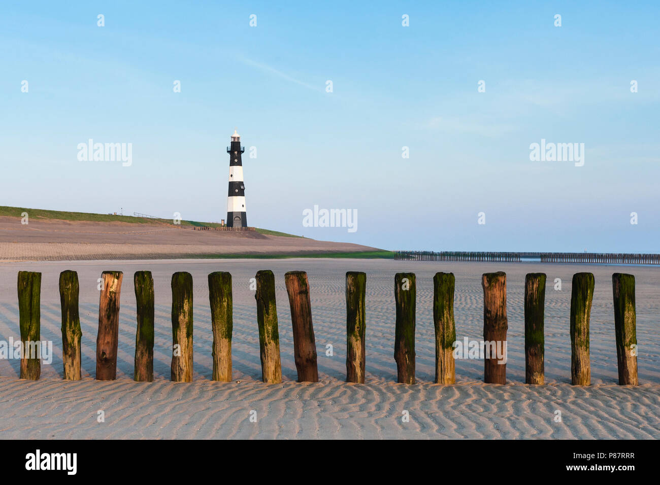 Timber groyne at the beach of Breskens with lighthouse in background ...