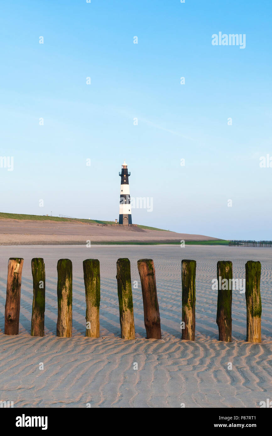 Timber groyne at the beach of Breskens with lighthouse in background ...