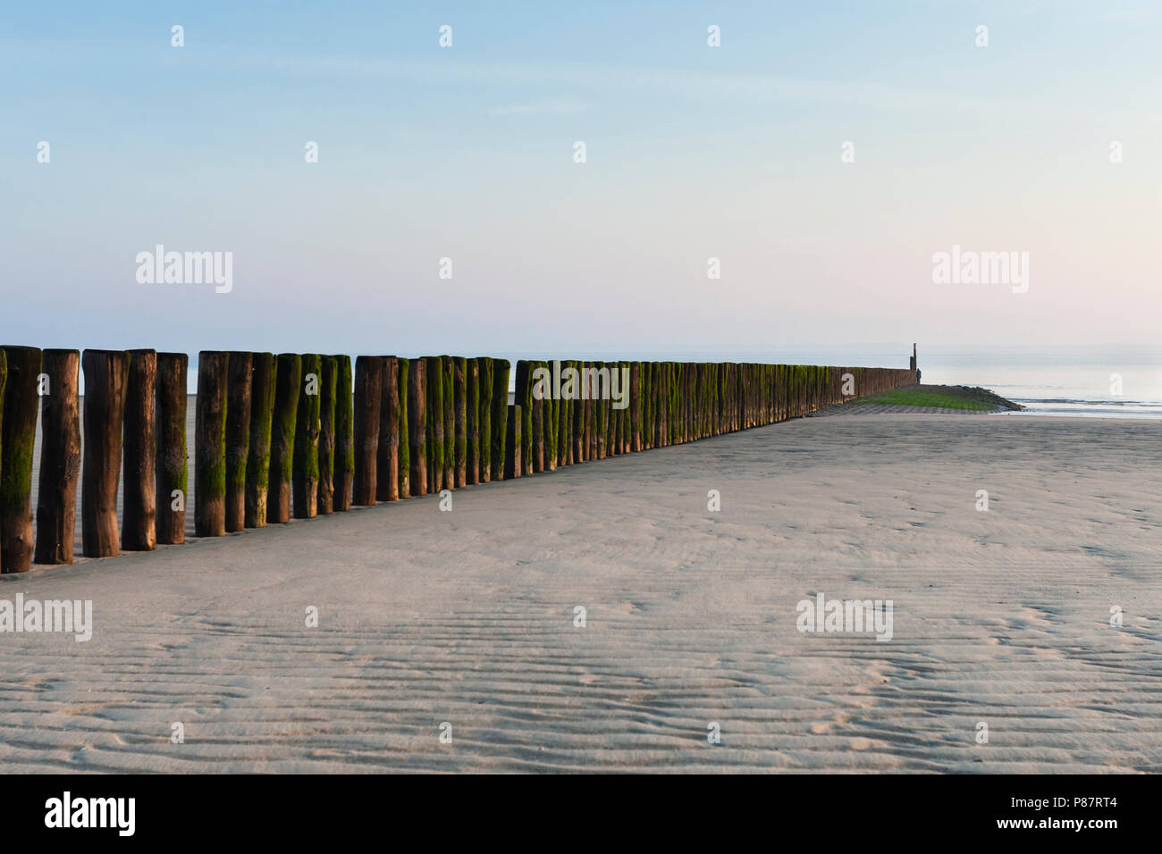 Timber groyne at the beach of Breskens Stock Photo - Alamy