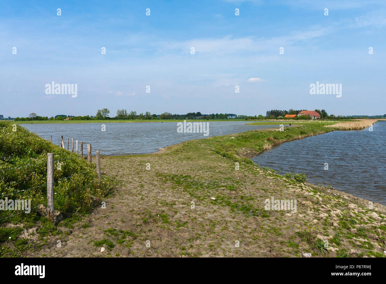 Drowned land hi-res stock photography and images - Alamy
