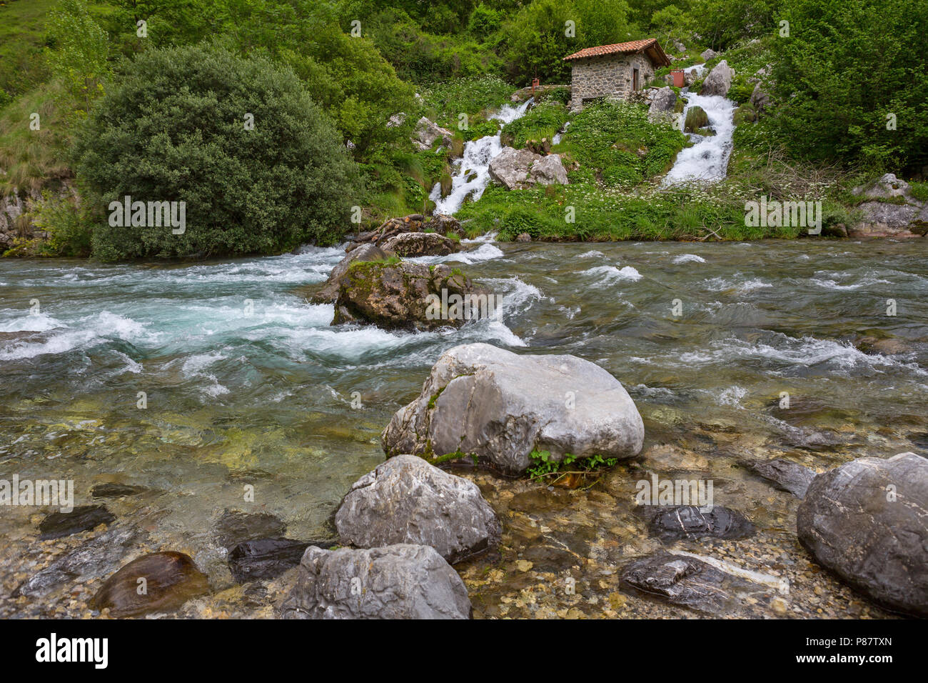 Waterfall in the Cares River located in the Picos de Europa National ...