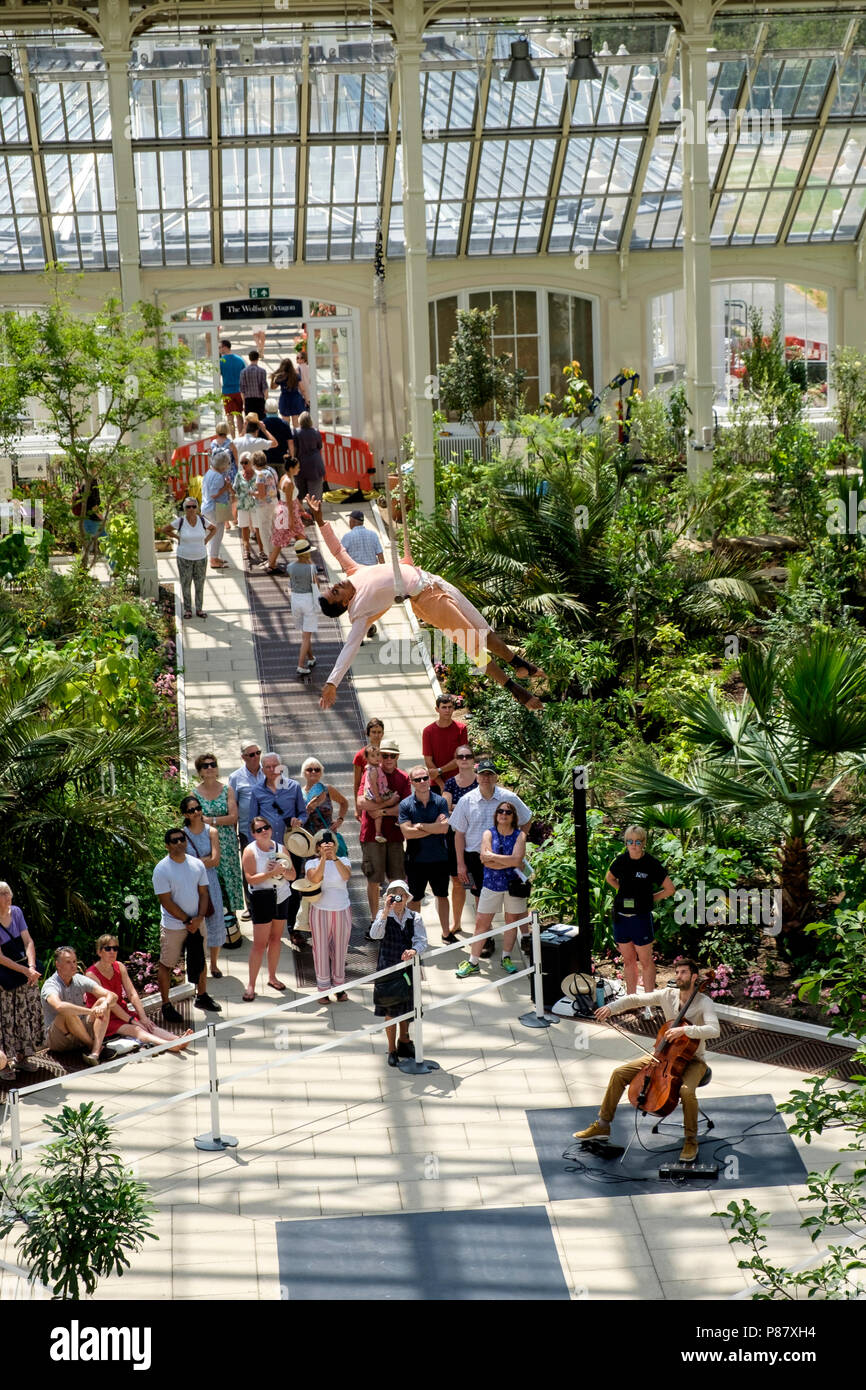 Newly restored temperate house hi-res stock photography and images - Alamy
