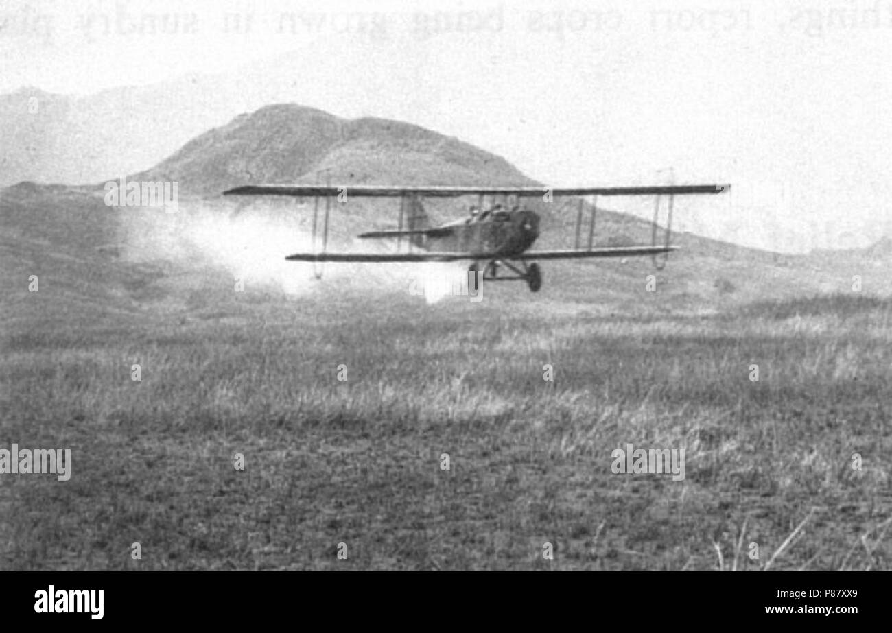 Locusts picture hi-res stock photography and images - Alamy