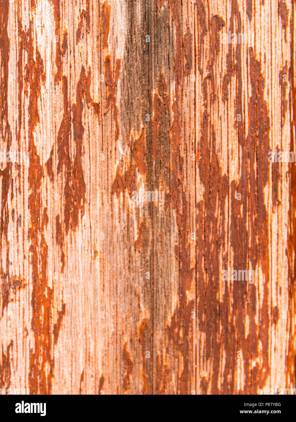 interesting texture of a wooden surface, natural wood as an elegant ...