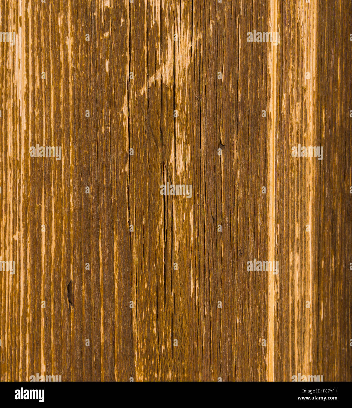 interesting texture of a wooden surface, natural wood as an elegant ...