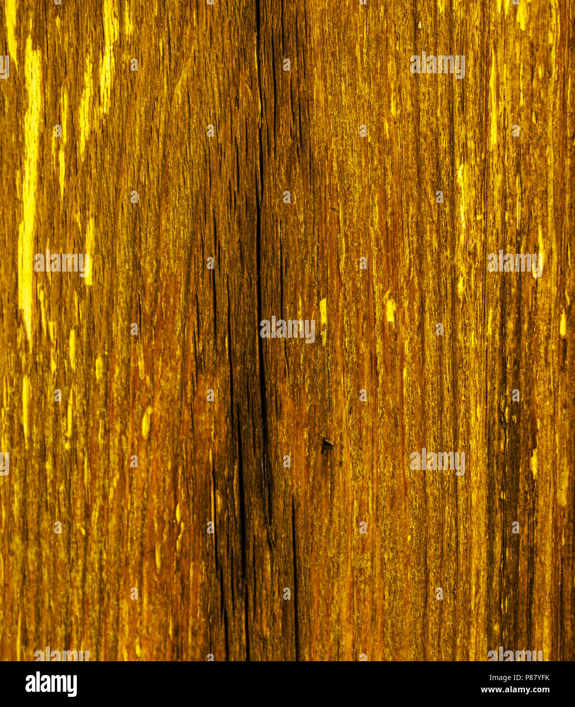 interesting texture of a wooden surface, natural wood as an elegant ...