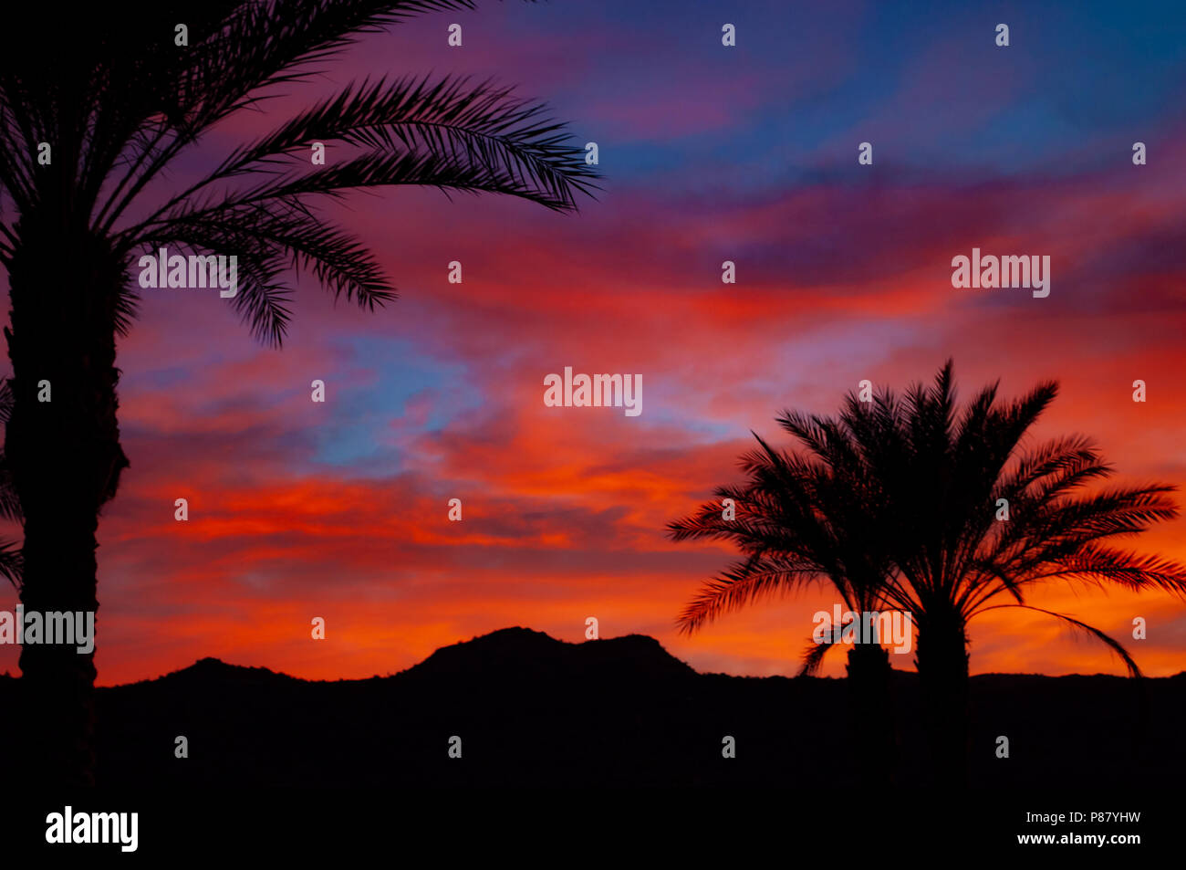 Sunset behind palm trees hi-res stock photography and images - Alamy
