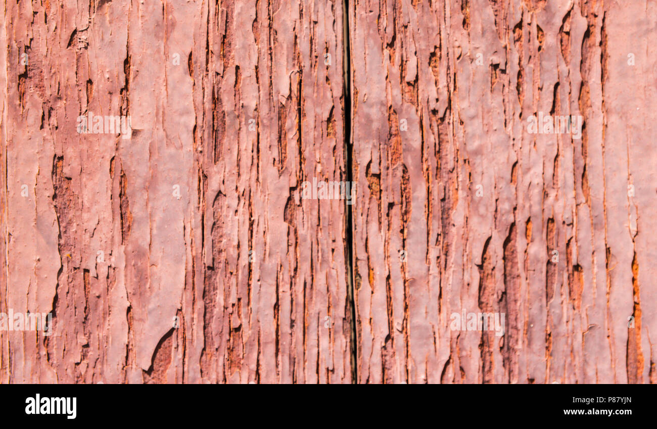 interesting texture of a wooden surface, natural wood as an elegant ...