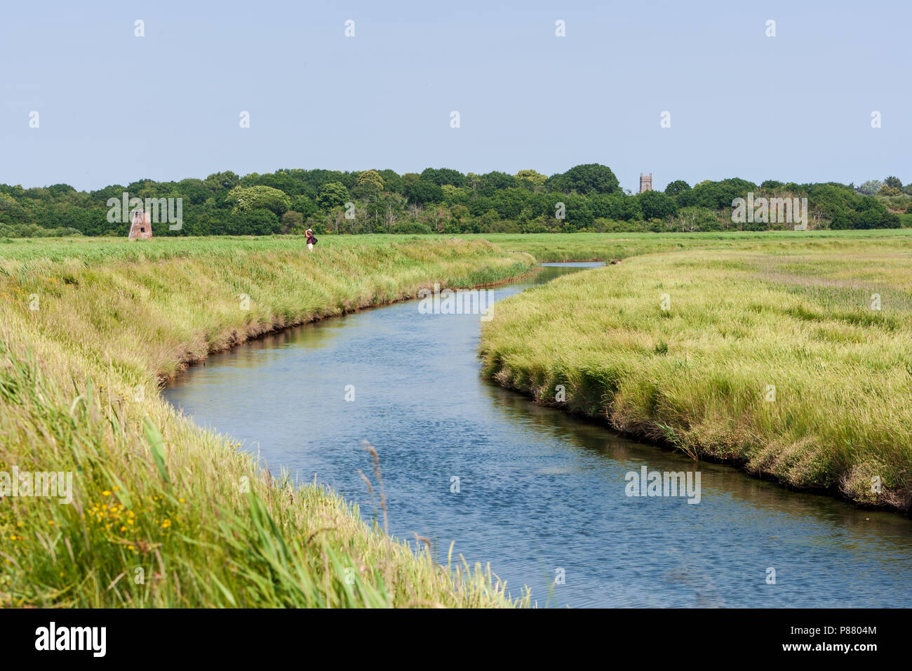 Walking through the reeds hi-res stock photography and images - Alamy