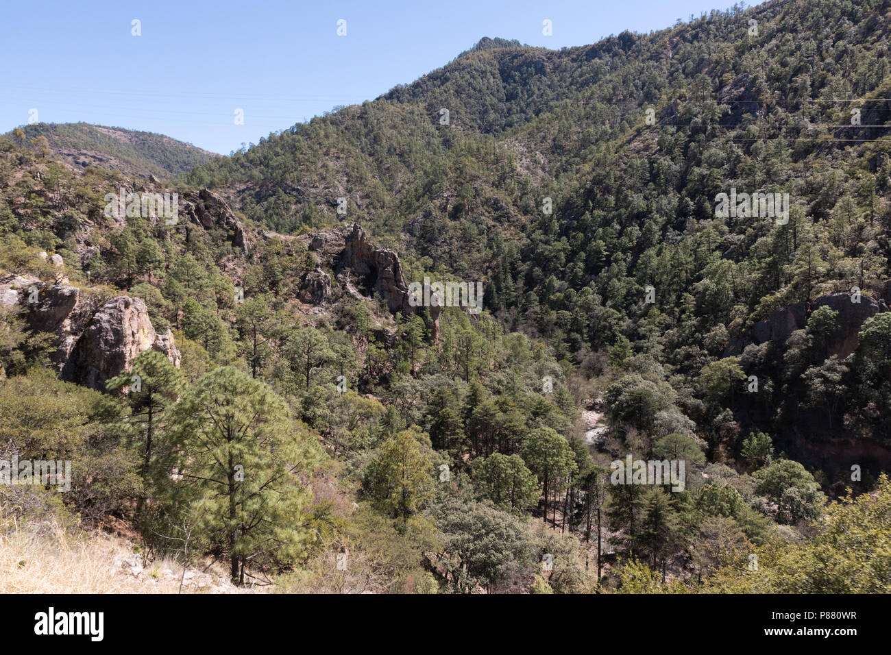 Landscape from Bahuichivo to Chihuahua Stock Photo - Alamy