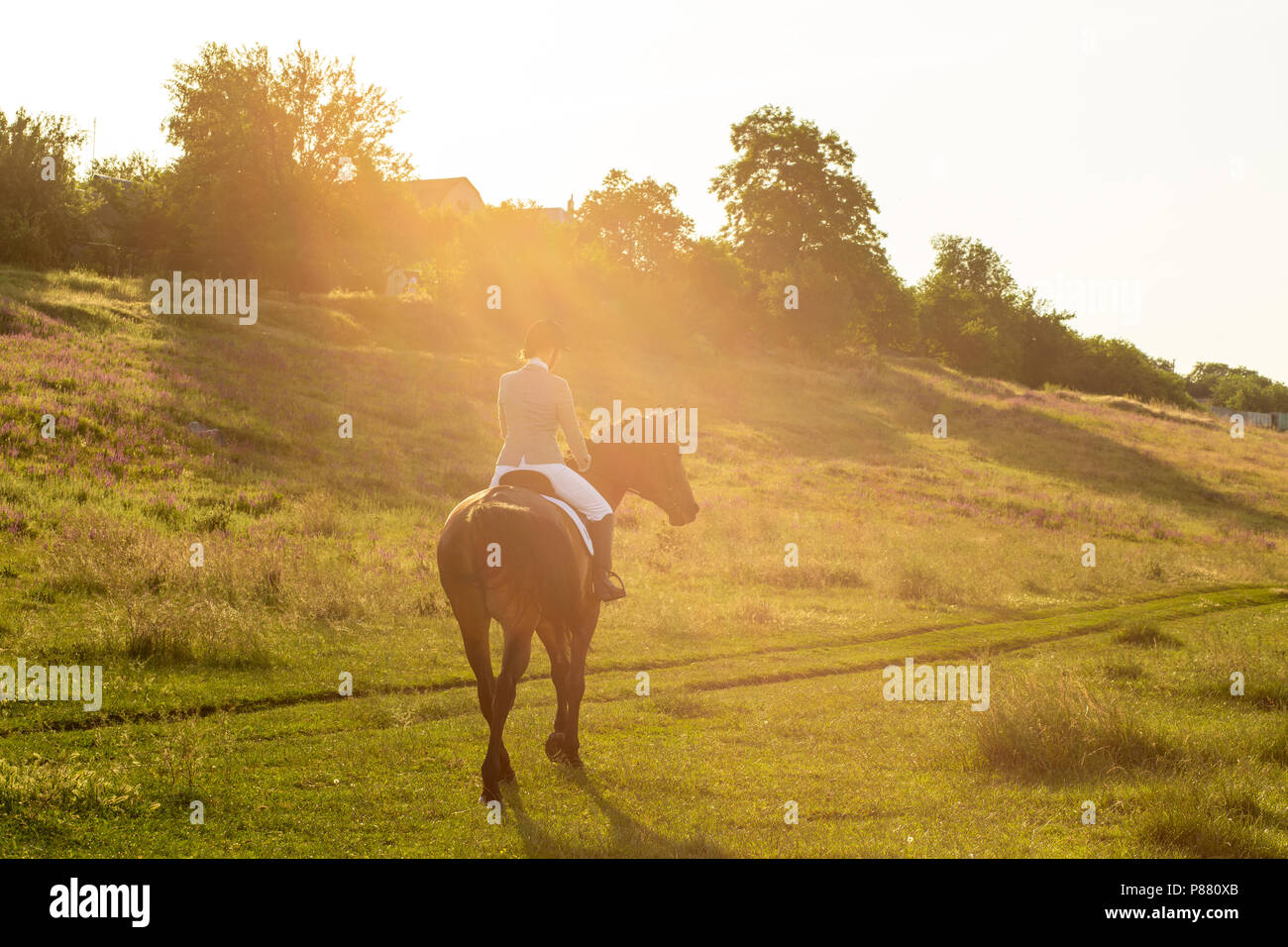 Horse sun flare hi-res stock photography and images - Alamy