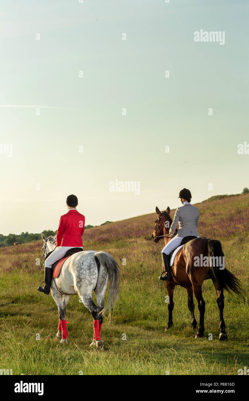 Two young women riding horse in park. Horse walk in summer Stock Photo ...