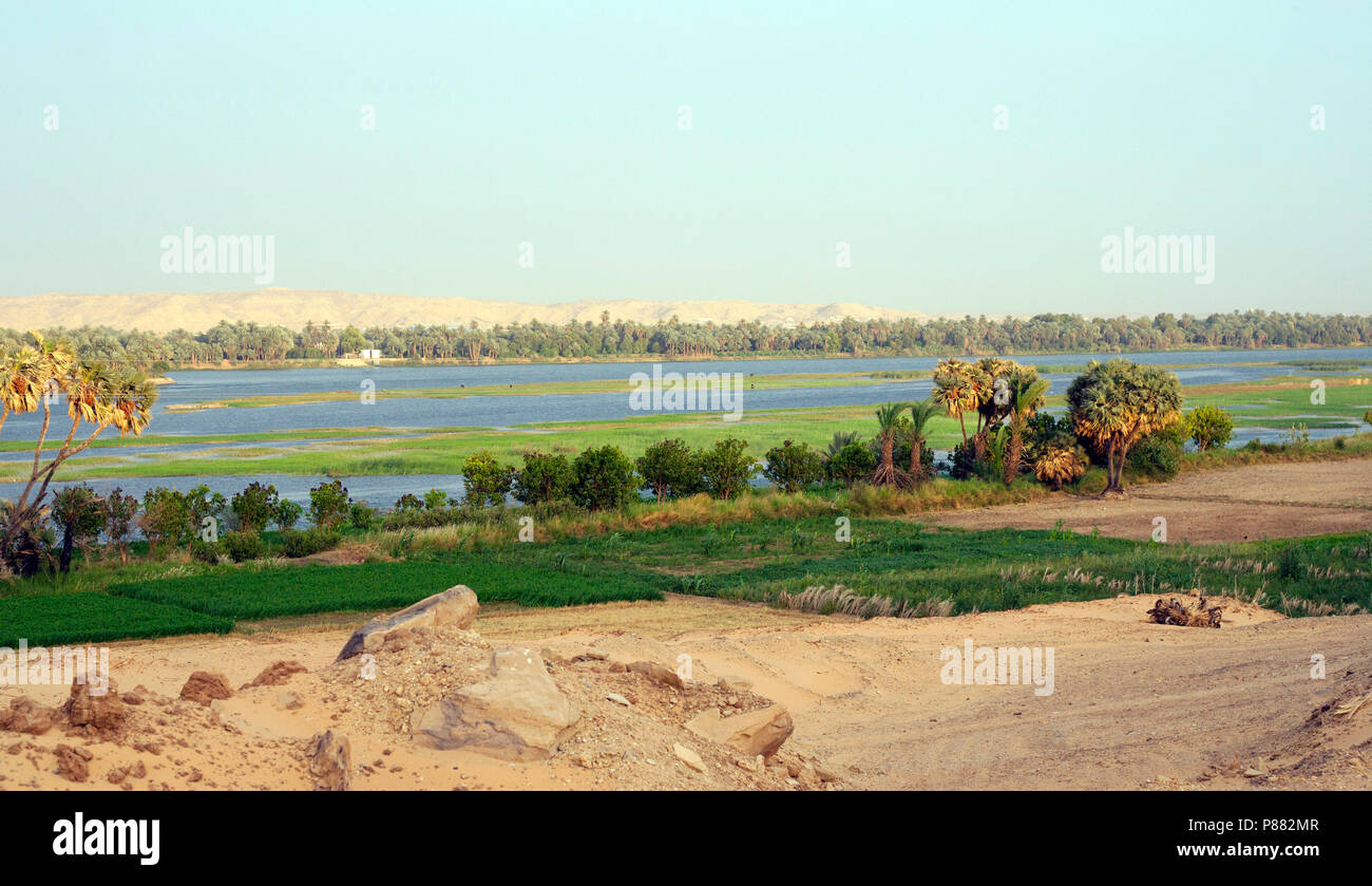 Nijl vallei, Nile valley Stock Photo - Alamy
