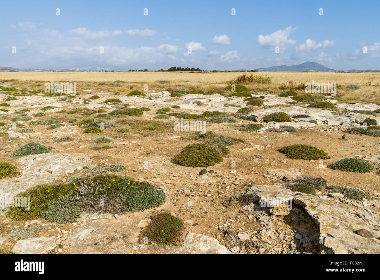 Mazotos High Resolution Stock Photography and Images - Alamy