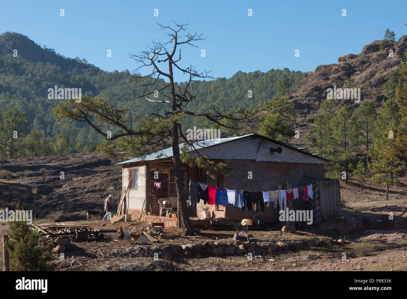 Landscape at Cerocahui, Mexico Stock Photo - Alamy