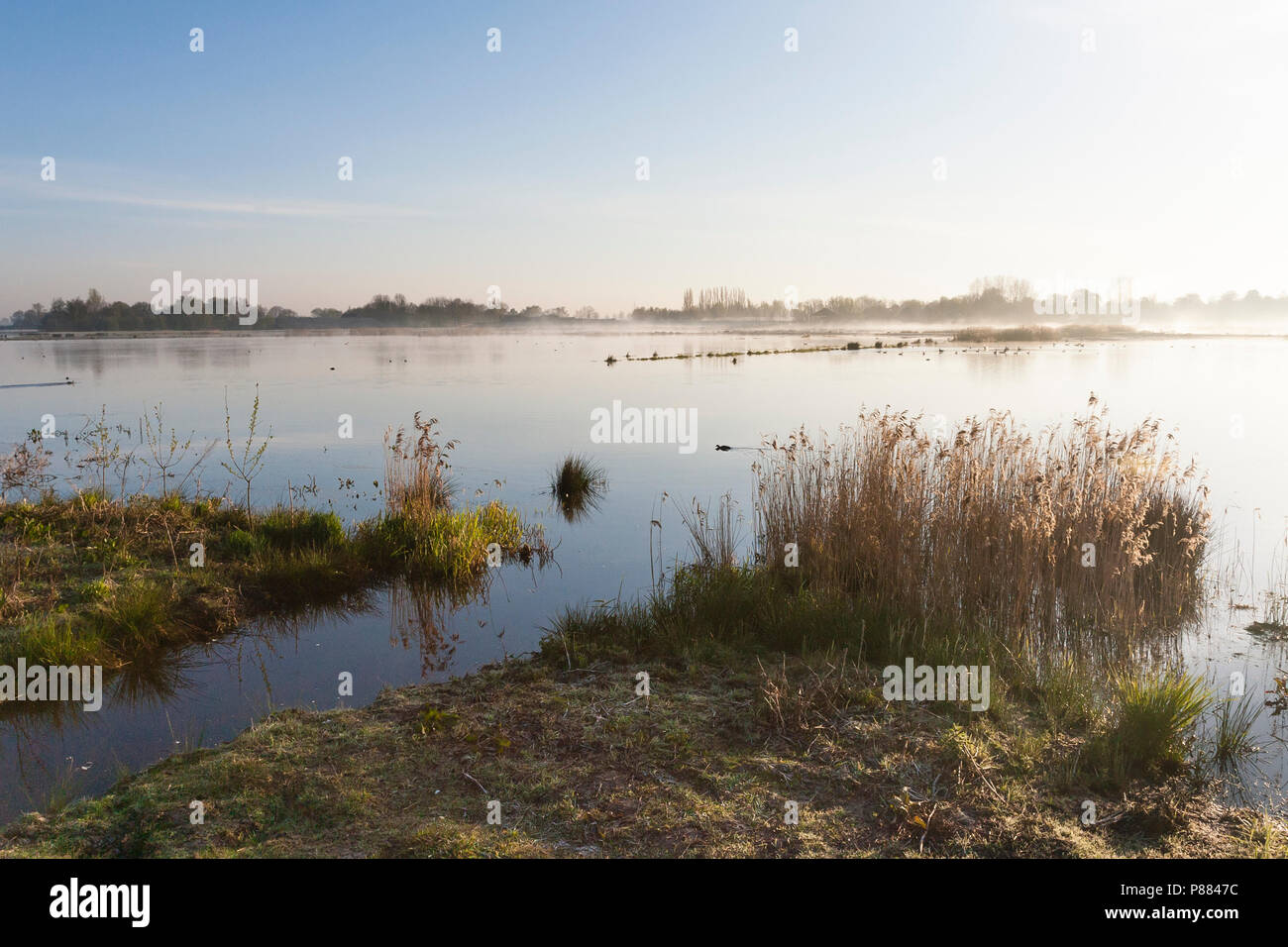 Overview of lake at Groene Jonker in spring Stock Photo - Alamy