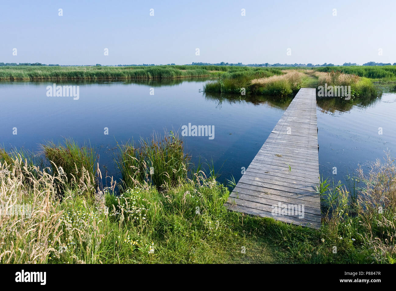Landscape with bridge at Groene Jonker Stock Photo - Alamy