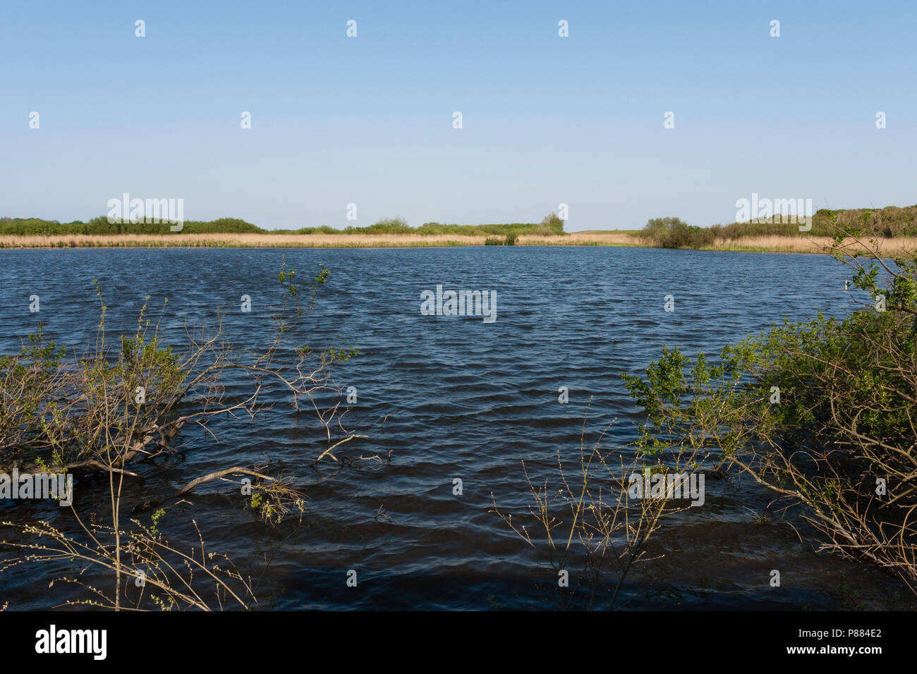 Waterplas op Schiermonnikoog; Lake at Schiermonnikoog Stock Photo - Alamy