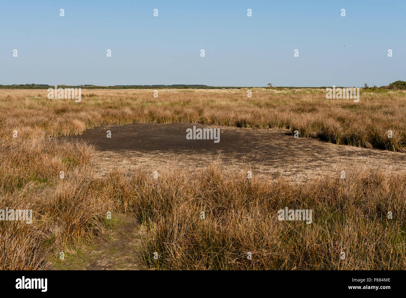 Extensive grassland hi-res stock photography and images - Alamy