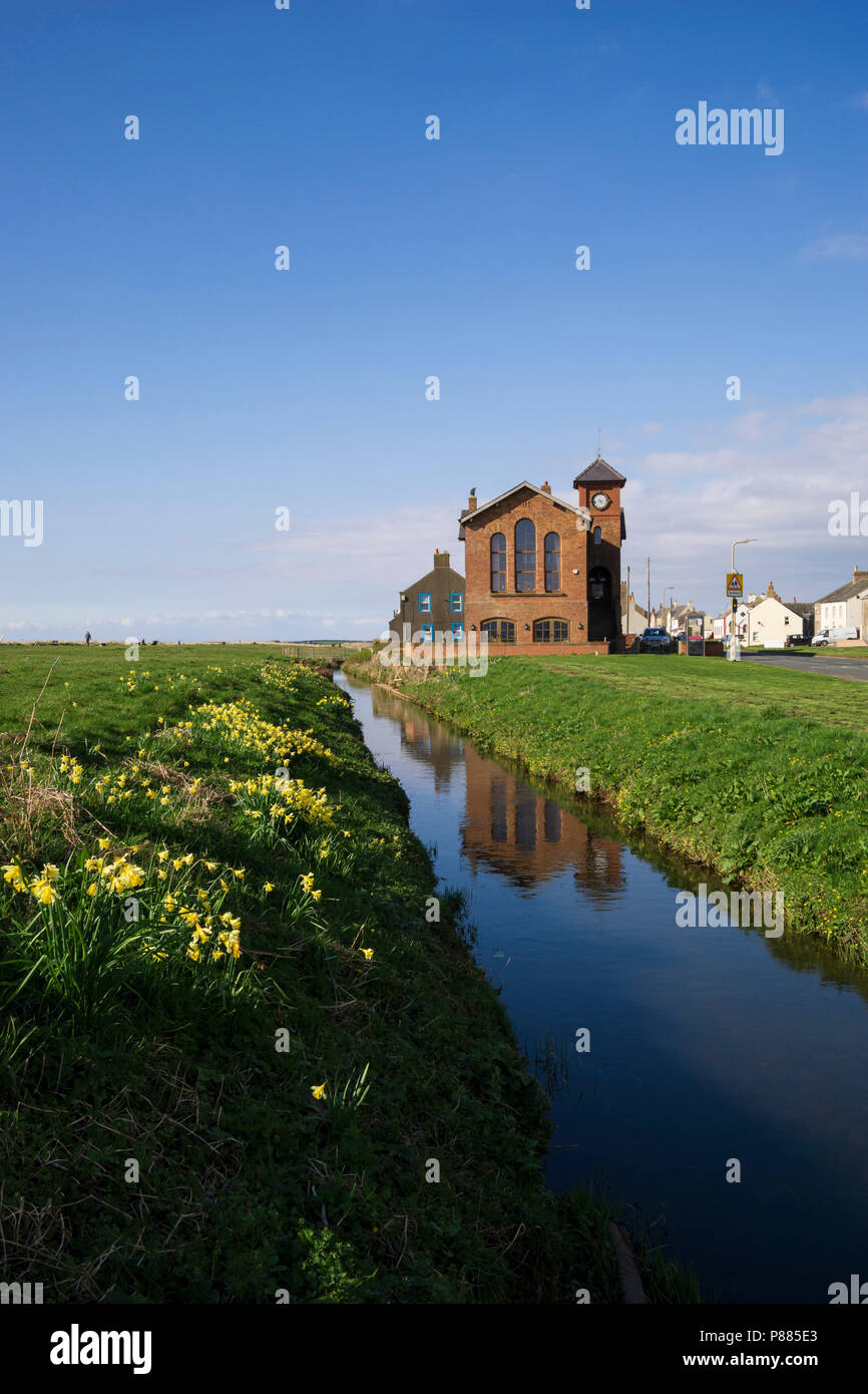 A drainage channel, historic building and springtime daffodils in the ...