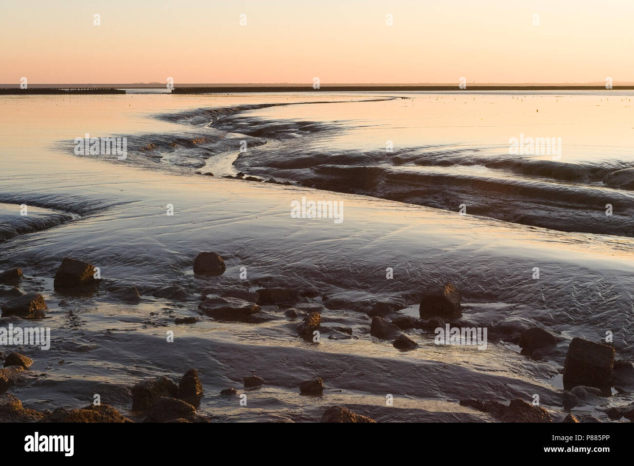 Wadden zee hi-res stock photography and images - Alamy