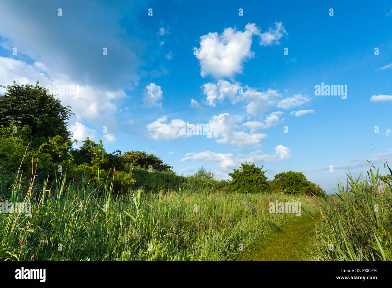 Groene strand hi-res stock photography and images - Alamy