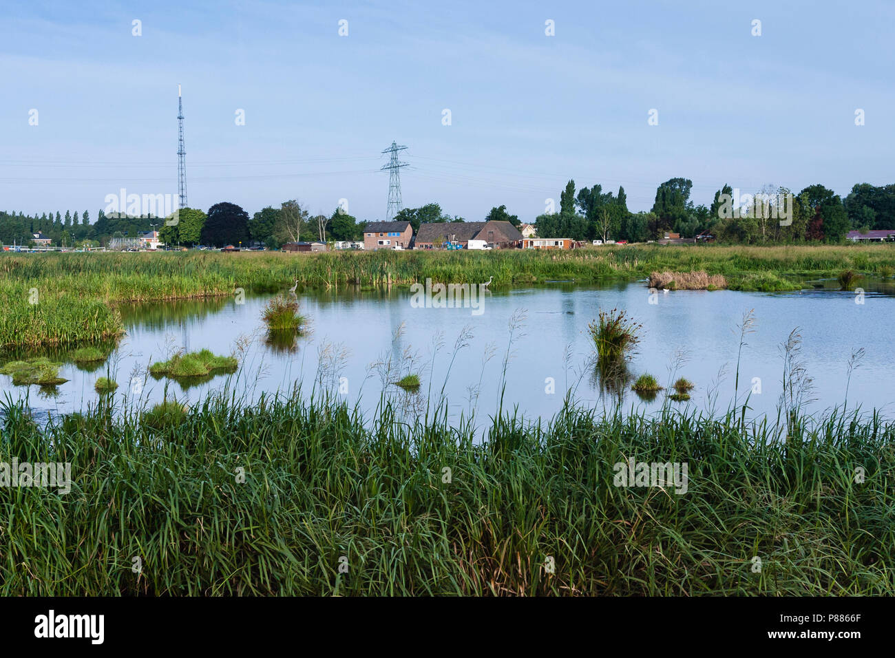 Polder poelgeest hi-res stock photography and images - Alamy