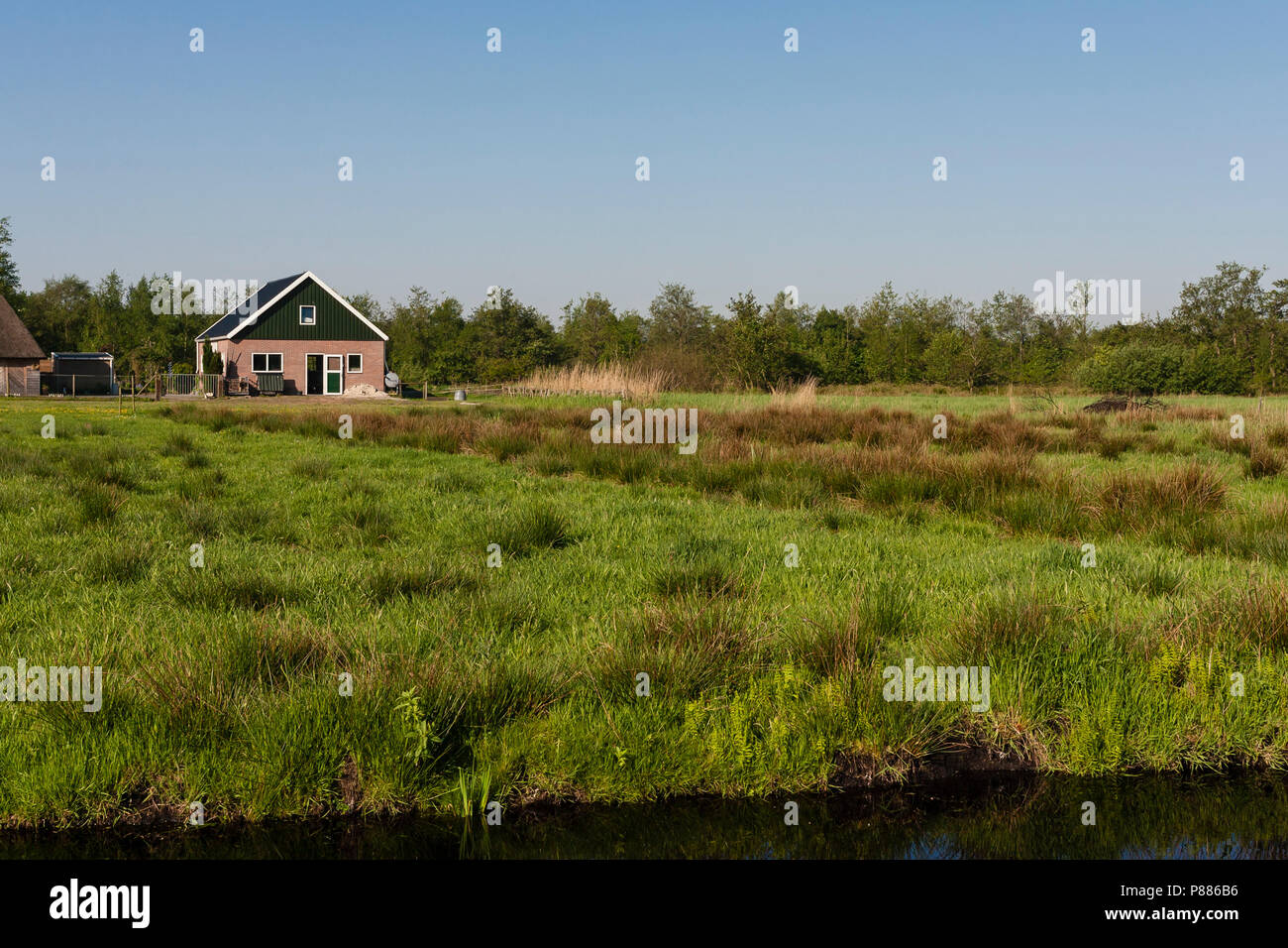 Boerderij met grasland en sloot in voorgrond; Farm with grassland and ...