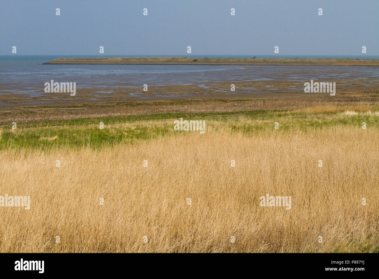 Waddenkust Den Oever, Shore Den Oever Stock Photo - Alamy
