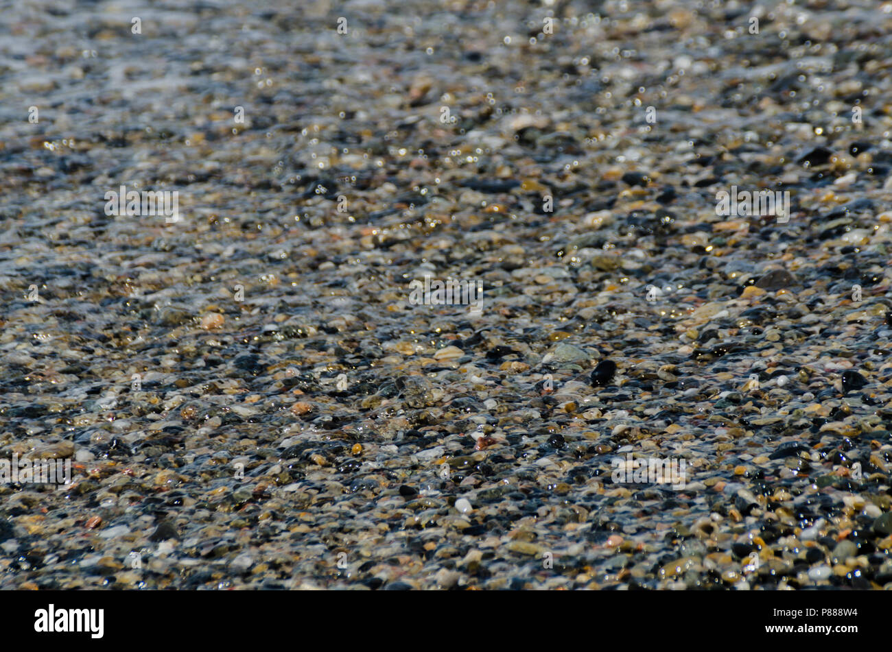 pebble beach washed by sea waves, small and various stones forming the ...